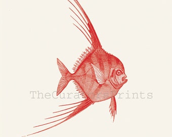 Octopus Blue Octopus print Nautical print by TheCuratorsPrints