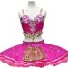 Ballet Tutu Beautiful Classic Oriental Stage ballet tutu