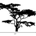Realistic African Tree Wall Decal Headboard Wall Decal Home