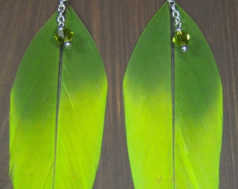 Long Dark to Light Green two tone Amazon Parrot Feather Earrings with ...