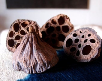 Unique lotus pod related items | Etsy