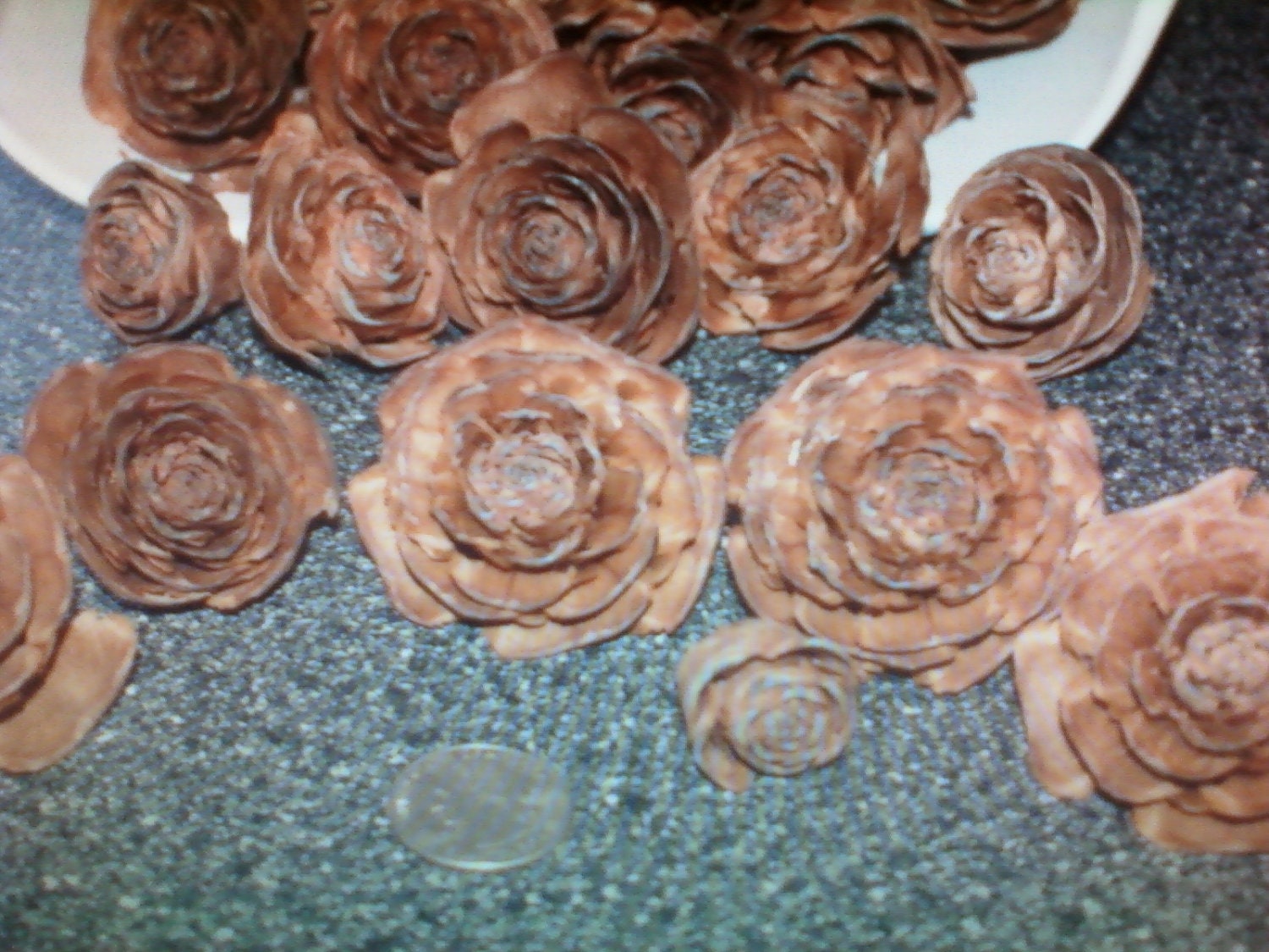 50 Cedar Roses Wooden Roses Deodar Cedar Pine Cone