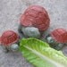 Turtle Statue Family Turtles Concrete Statues Concrete
