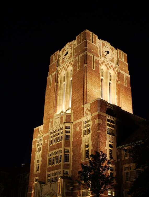 University of Tennessee Ayres Hall at Night Matted