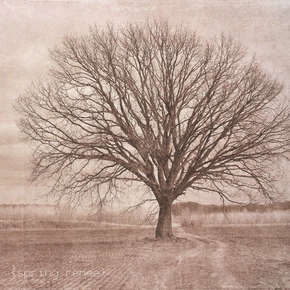 Primitive Rustic Home Decor. Обсуждение на LiveInternet - Российский ...