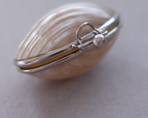 Popular items for shell coin purse on Etsy