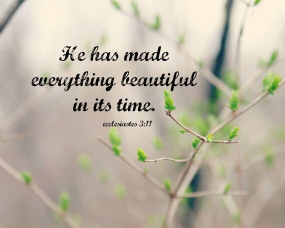 Environment Religious Quotes