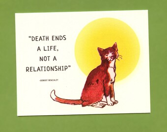 I buried my dead cat early this morning