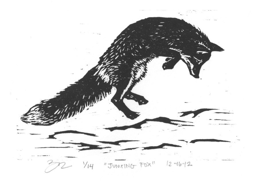 Fox Jumping Drawing