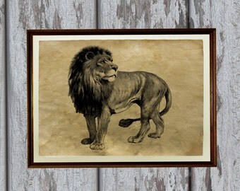 Lion print | Etsy