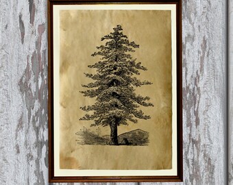 Unique pine tree art related items | Etsy