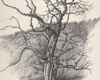 Popular items for gnarly tree on Etsy