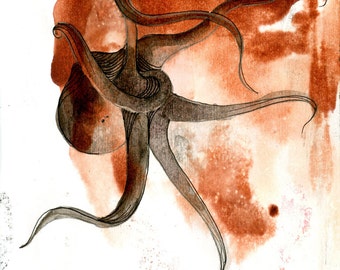 Octopus Drawing A Suitable Cephalopod Fine Art by AnOctopusADay