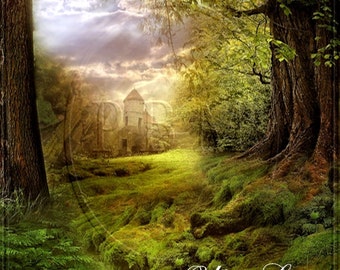 Forest backdrop | Etsy