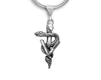 Veterinary caduceus | Etsy