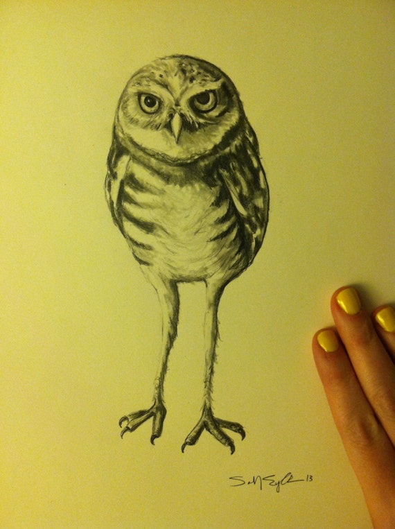 Items similar to Burrowing Owl 16x20 pencil drawing on Etsy