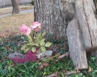 Life like roses | Etsy