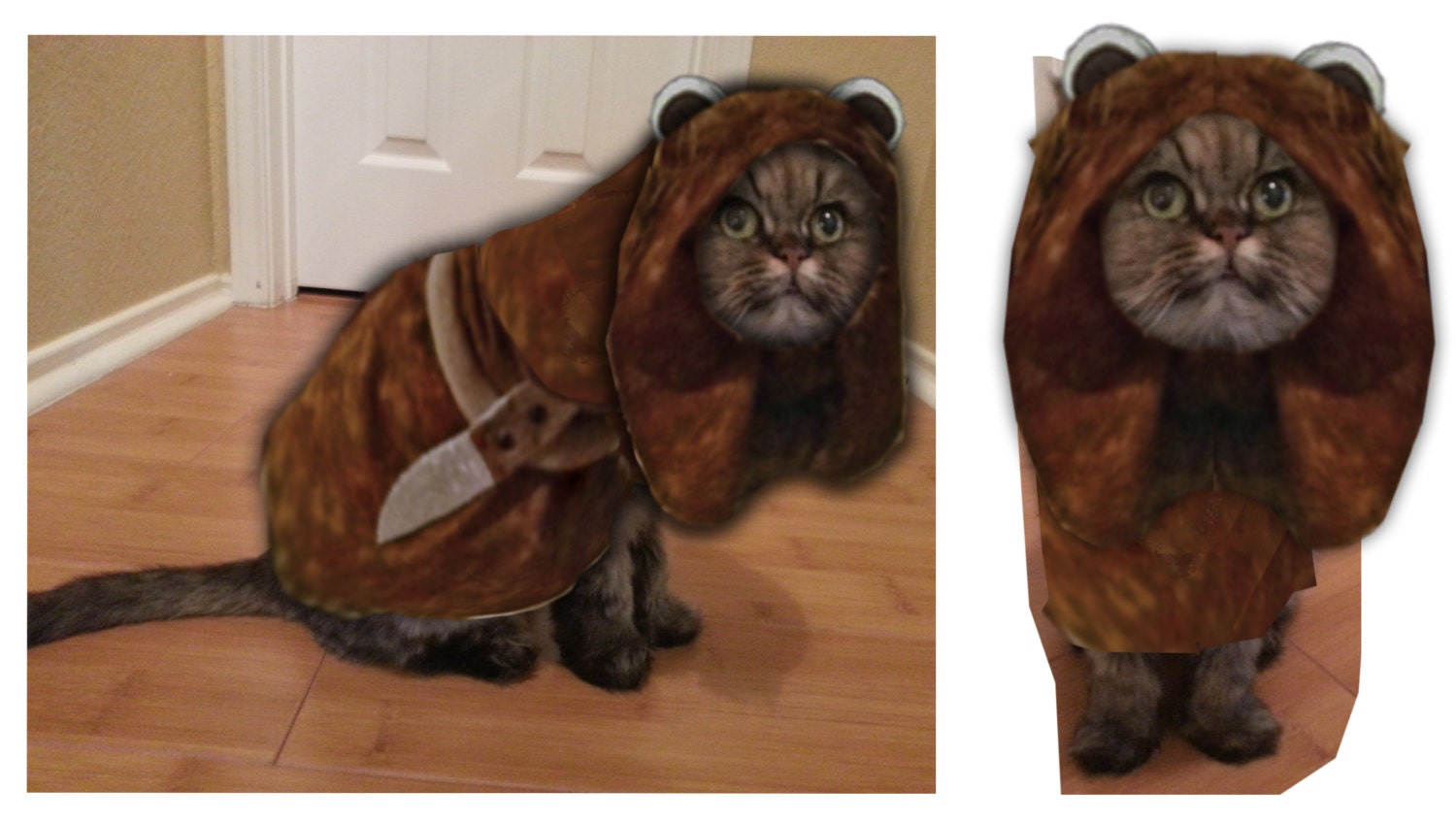 Custom made Ewok costume Cat.