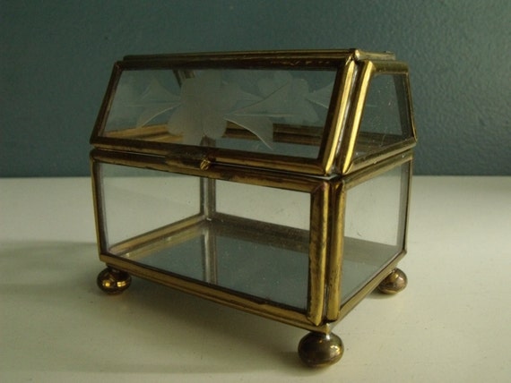 Small Glass Brass Display Case Collection Miniatures