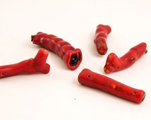 Popular items for red bamboo coral on Etsy