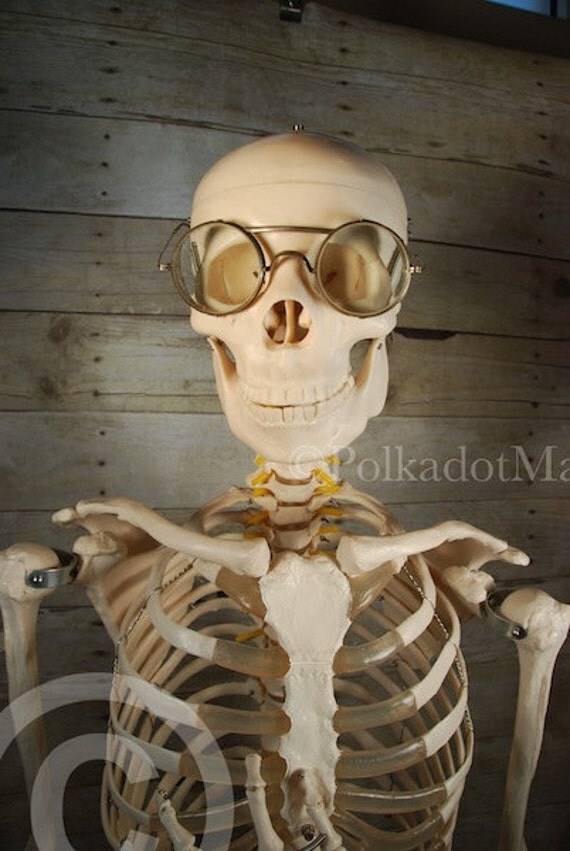 Items similar to Steampunk, Halloween, Funny, Skeleton Art, Sam on Etsy