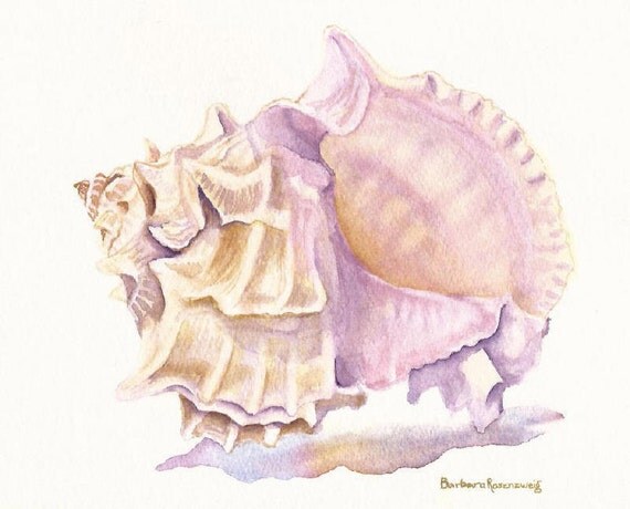 Seashell Painting Shell Beach Art Print Sea by BarbaraRosenzweig