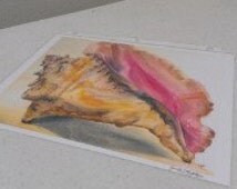Popular items for conch shell art on Etsy