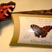 Tortoise Shell Butterfly Needle Felting Kit