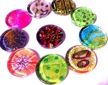 Popular items for plant cell on Etsy