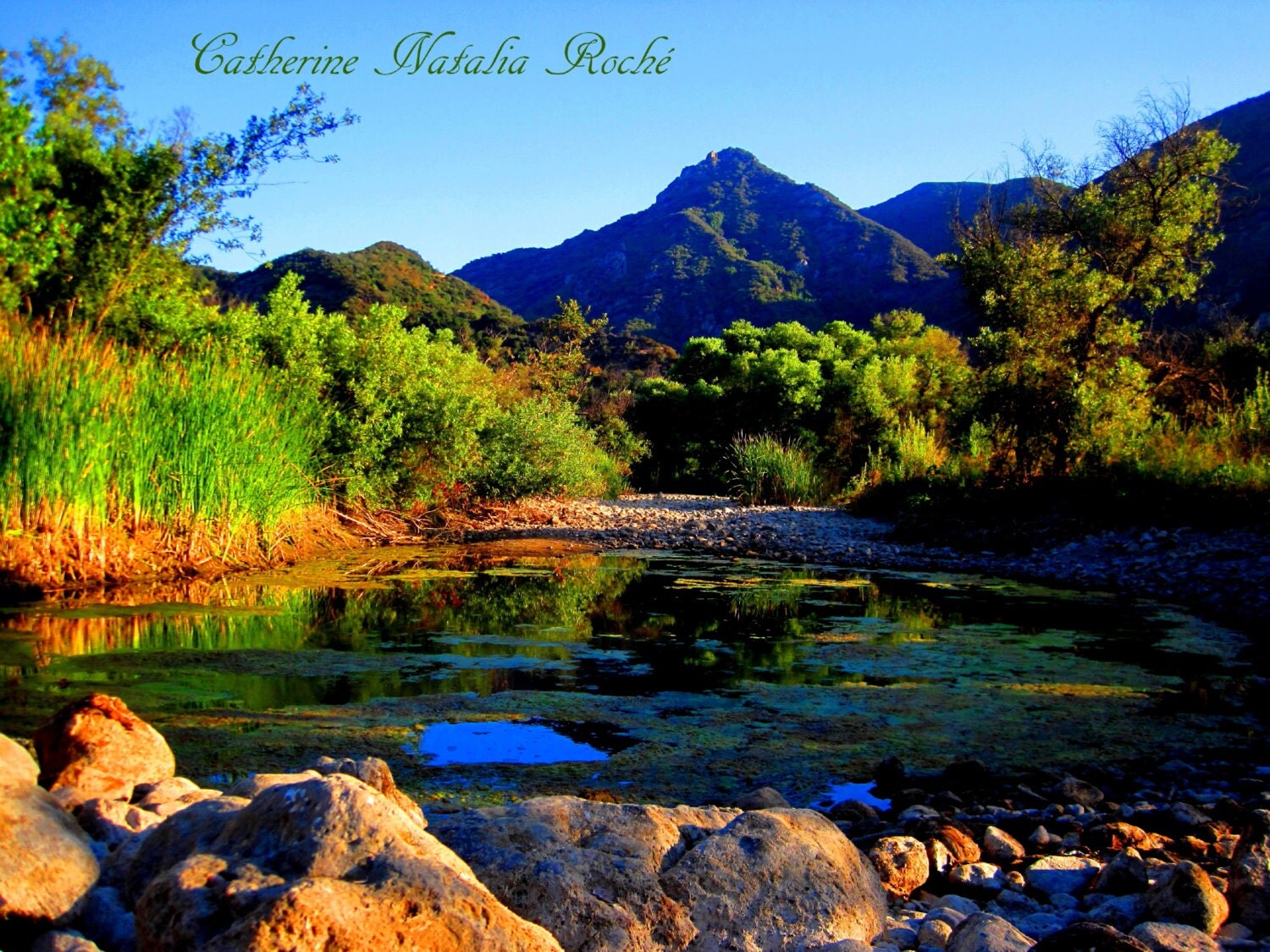 California Landscape Photography