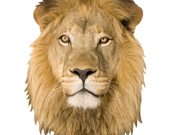 Lion head decal | Etsy
