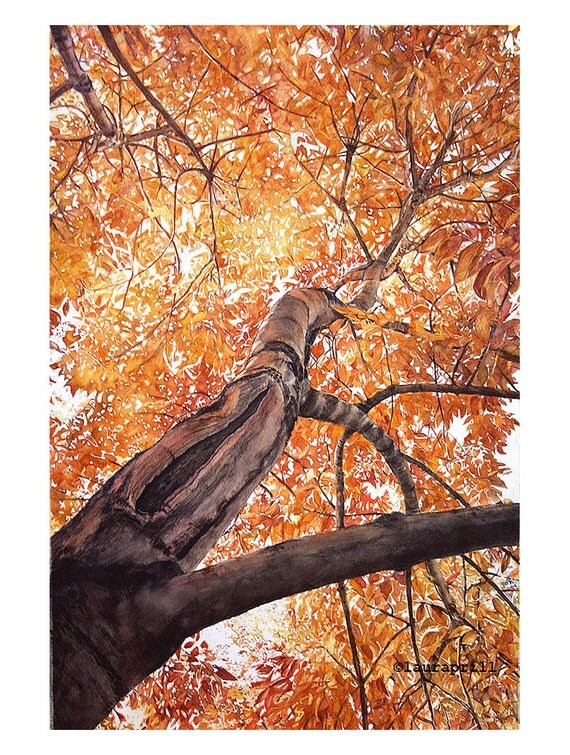 Realistic Fall Tree Drawing