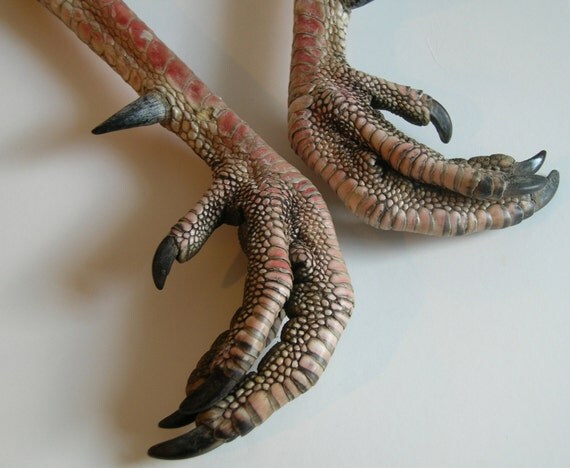 Vintage Taxidermy Wild Turkey Legs Feet and by ITSAMANSMANSWORLD