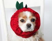 Dog Collars and Dog Snoods by daydogdesigns on Etsy