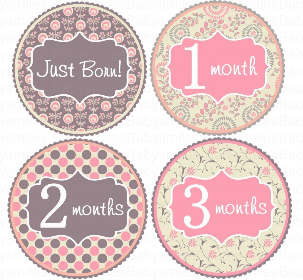 FREE GIFT Monthly Baby Stickers Baby Month Stickers Baby Girl