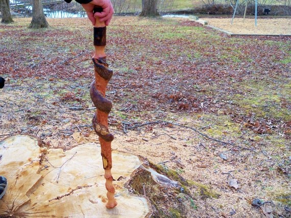 Vine staff - Alchetron, The Free Social Encyclopedia