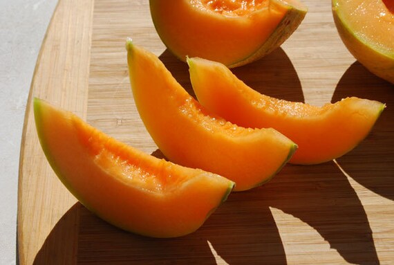 Charentais Melon French heirloom miniature fruit 25 seeds