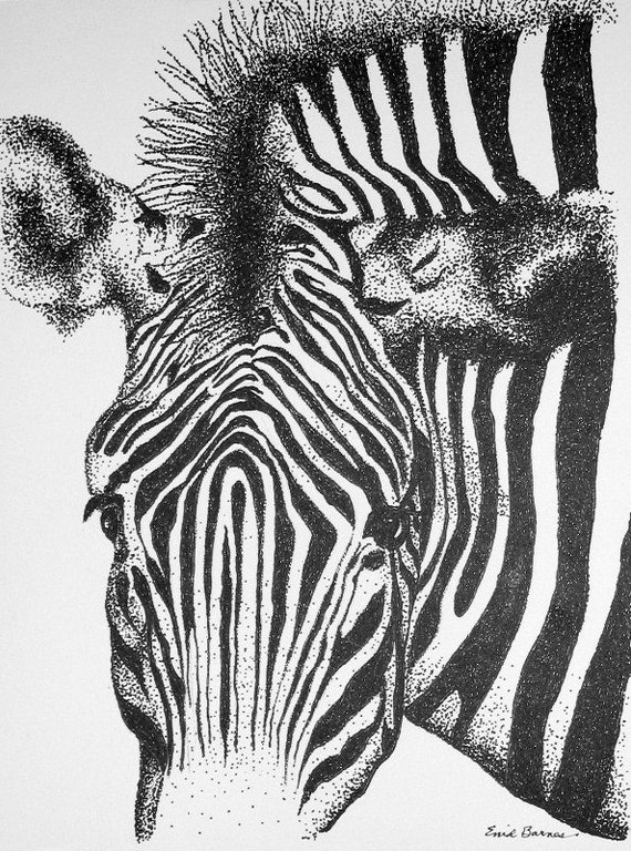 Original Pen and Ink Pointillism Drawing of a ZEBRA by MYDOTSHOP
