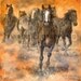 Saddle Bronc drawing of a rodeo cowboy riding a bronc at the
