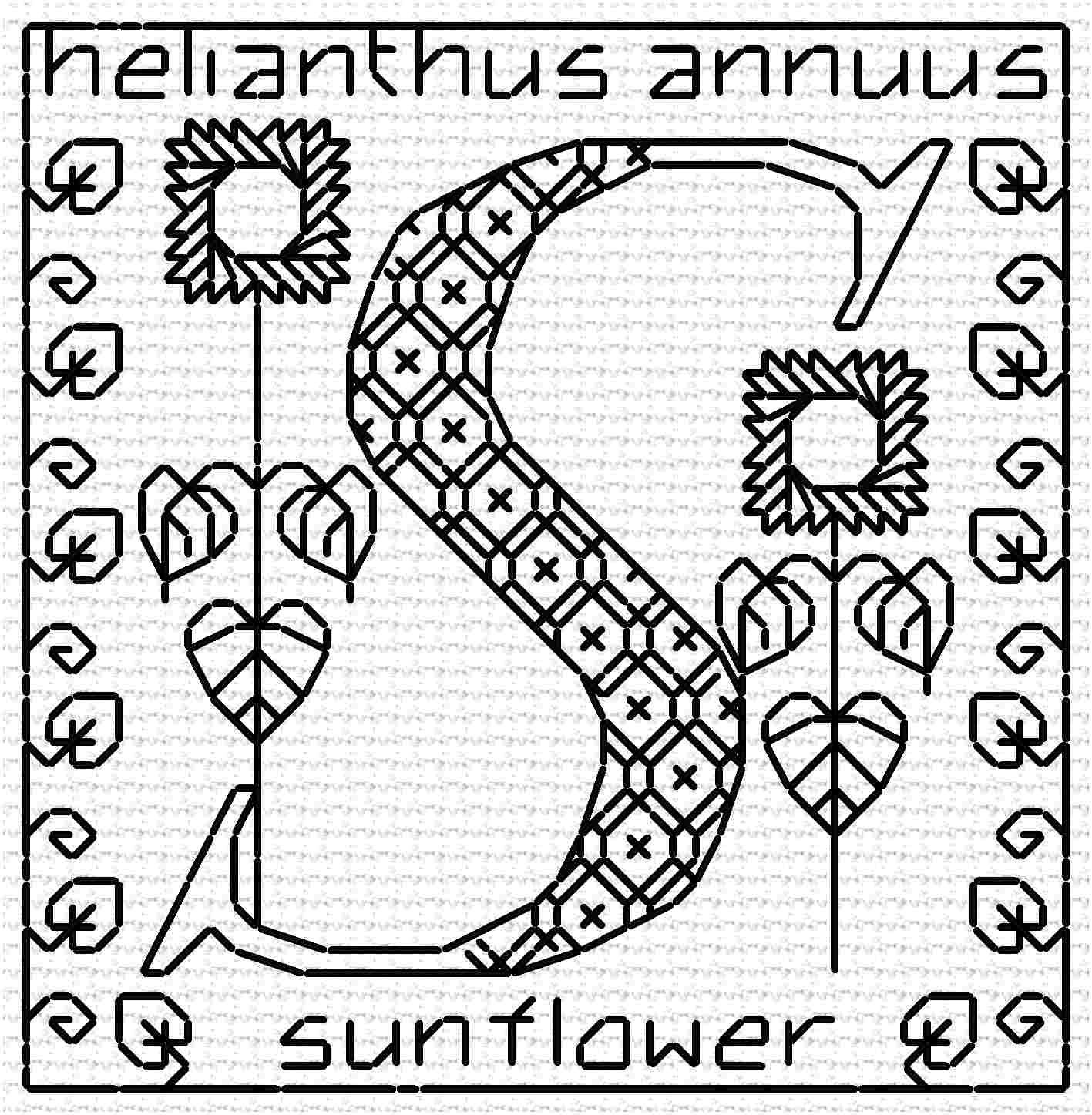 Blackwork Floral Alphabet Sampler Chart PDF CHART