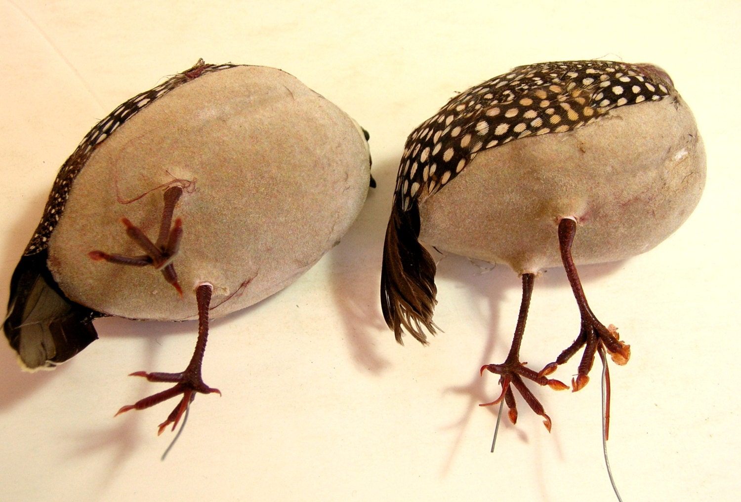 Two Vintage Feathered Quail from FabricAndCrafts on Etsy Studio