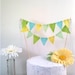 Cake Bunting Pennant Flags Cake Topper Aqua Lime Chartreuse