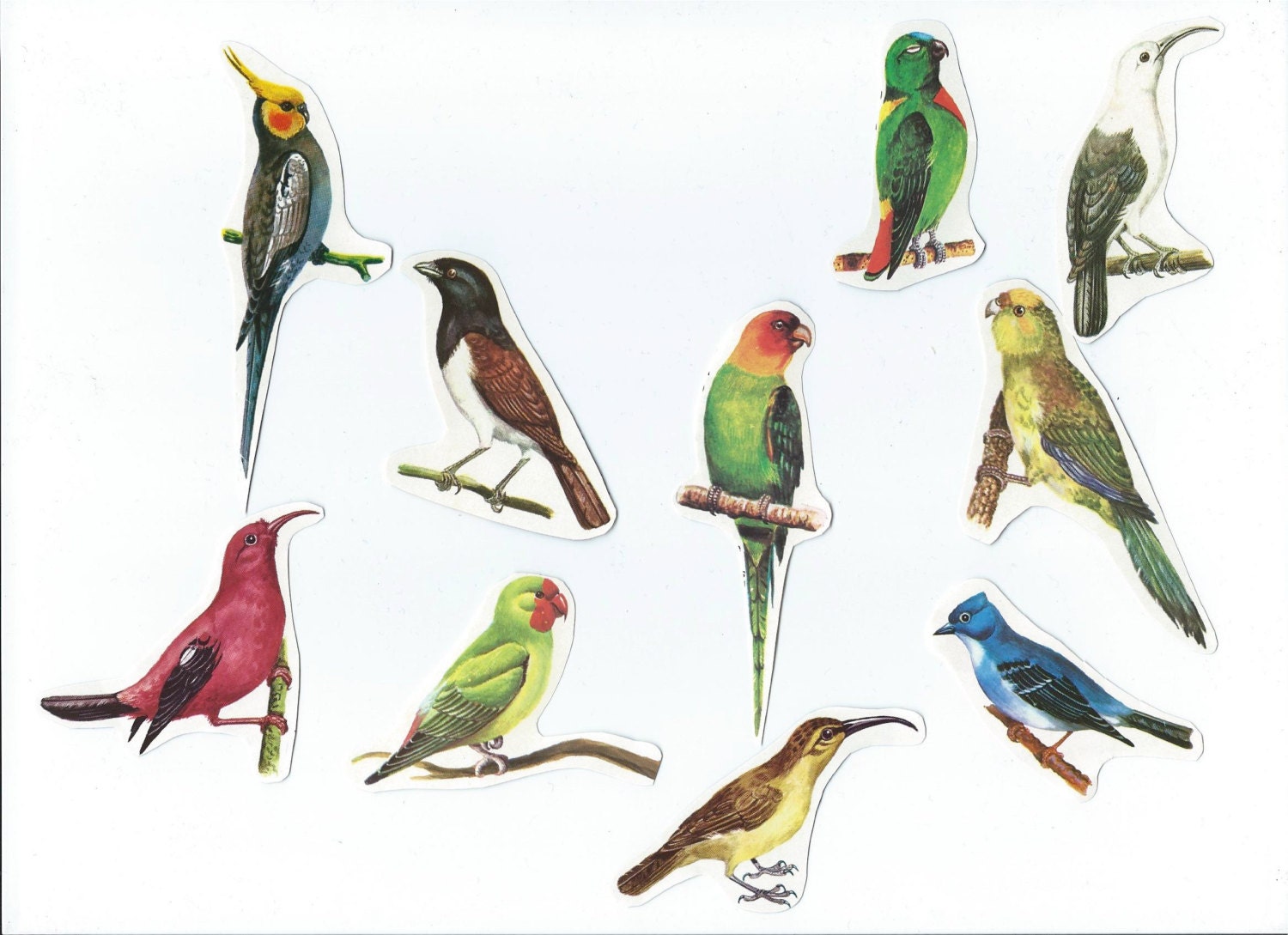 Vintage Collage Bird Clip Art Paper Pack Ephemera