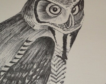 Popular items for pen and ink owl on Etsy