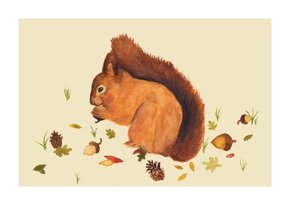 Items similar to Squirrel Illustration - Archival Print A4 - 297x210 ...