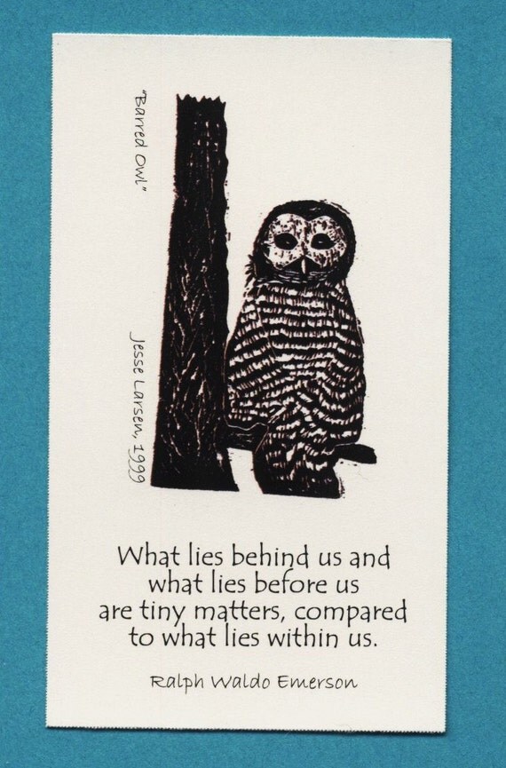 owl-block-quotes