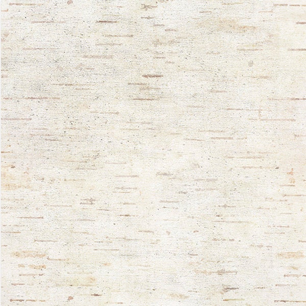 Birch Wood Digital Paper Rustic Wood Grain Pattern Wooden