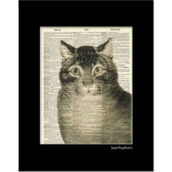 Cat Dictionary Art Vintage Dictionary Art Print Book Page