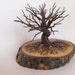 Gnarly old tree a twisted wire tree by BarbaraCsCreations on Etsy