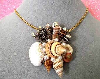 seaside+collection+oyster+shell+mussel+coral+scallop+clam+courtney+anne ...